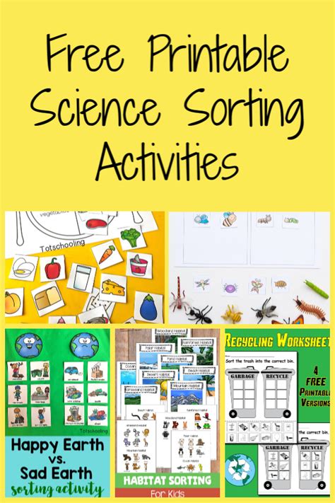 Printable Sorting Activity Images