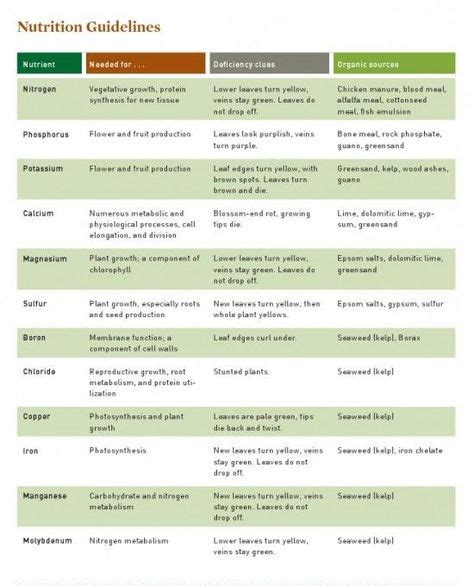 9 Best 1 Garden Vegetable Yield Charts Images Potager Garden