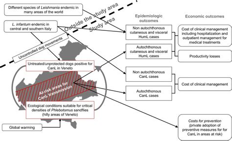 Epidemiologic Economic Models And The One Health Paradigm