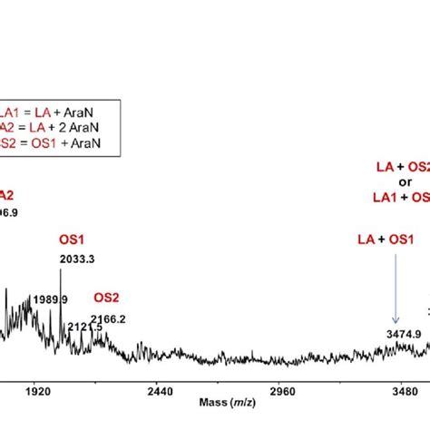 Maldi Mass Spectrum Of The Intact Lps From Strain Ist439 Mass Range Download Scientific