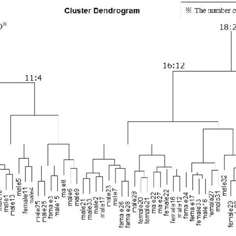 Result Of Hierarchical Cluster Analysis Download Scientific Diagram