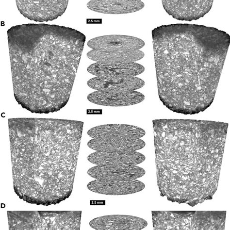 x ray ct 2d slices and 3d reconstructions x ray ct from different