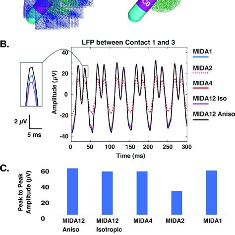 Lfp Model A Synchronous Neuron Population Green Dots At Four
