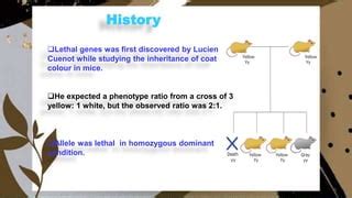Lethal Gene Pptx Genetics Science