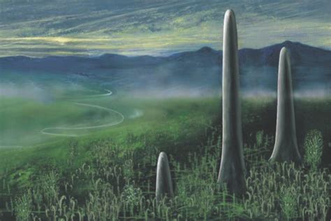 The Terrifying Sex Organs Of Male Turtles Gizmode