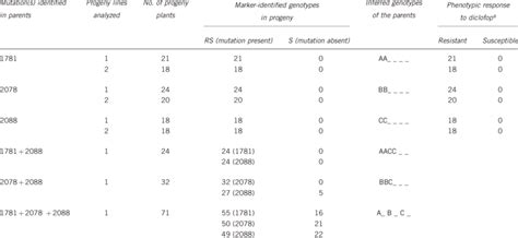 DCAPS And CAPS Marker Segregation Of Single Plant Derived Download Table