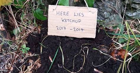 Uk Man Buys Exploding Ketchup And Tweets Supermarket About It Album