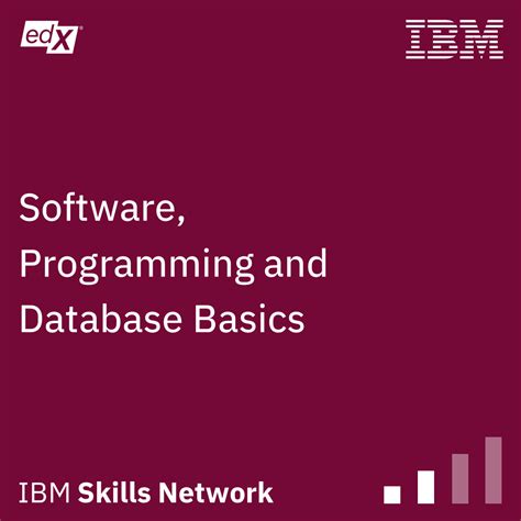 Software Programming And Database Basics Credly