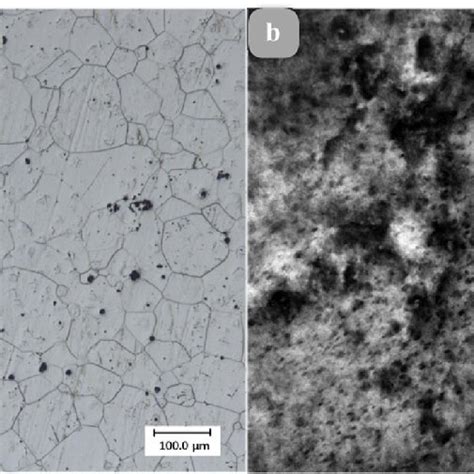 Microstructure And Tem Bright Field Image A Microstructure Image Download Scientific