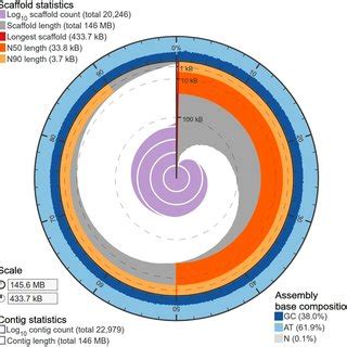 Circular Plot Visualizing The Assembly Metrices Of The Final D N Download Scientific Diagram