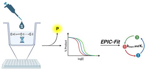 Covalent Modifiers Fitting Of Kinact And Ki Values From Endpoint Pre