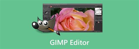 A Thorough Review To Gimp Editor For Editing Videos