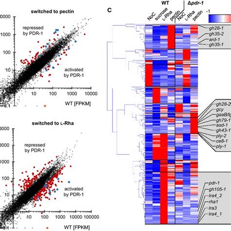 Scatterplots And Clustering Of Rna Seq Data From Wt And Δpdr 1