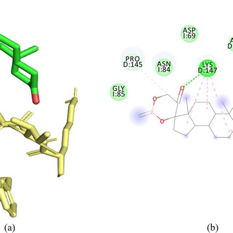 A Pymol Was Used To View The Interaction Of Pregnane 3 20 Dione Download Scientific Diagram