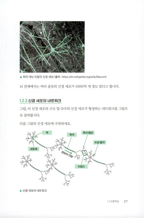 알라딘 미리보기 파이토치 딥러닝 모델 ai앱 개발 입문
