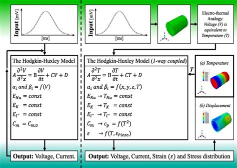 Figure 2 From Electrothermal Equivalent Three Dimensional Finite Element Model Of A Single