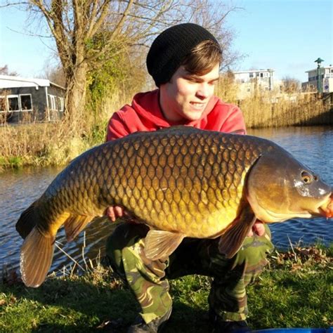 Stream Luke Van Dongen Music Listen To Songs Albums Playlists For