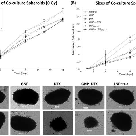 Co Culture Spheroids Size Post Treatment A B Normalized Spheroids