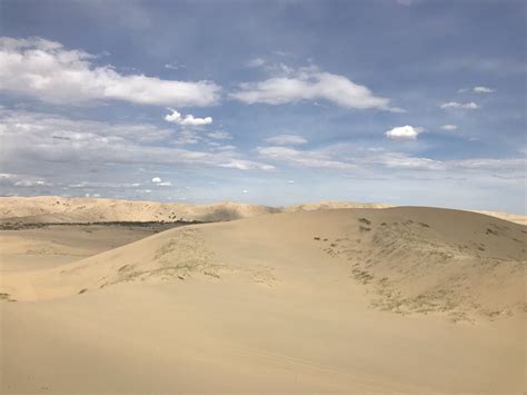 2021古尔班通古特沙漠 旅游攻略 门票 地址 问答 游记点评，吉木萨尔旅游旅游景点推荐 去哪儿攻略