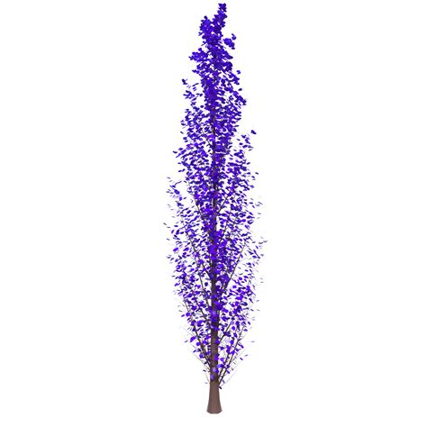 Tree Isolated On Transparent PNG