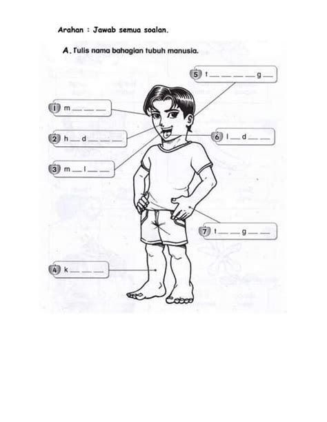 Buku Aktiviti Dunia Sains Dan Teknologi Tahun 1 Docx