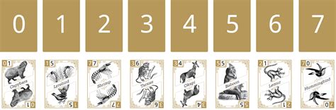 Linear Probing Insertion Cs2 Mulch