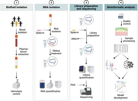 Schematic Timeline Of All The Steps Involved In The Development Of Download Scientific Diagram
