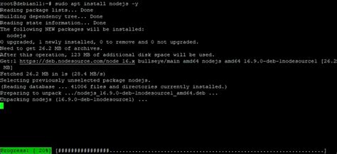 How To Install Node Js NPM On Debian