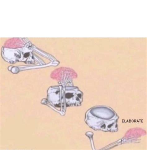 Elaborate Brain Blank Template Imgflip