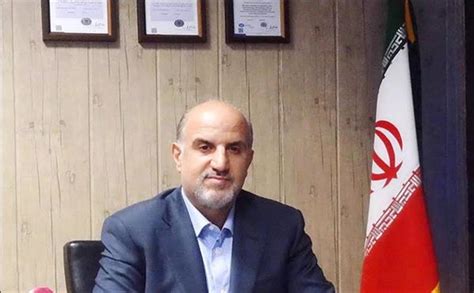 بهزاد محمدی مدیرعامل شرکت ملی صنایع پتروشیمی شد