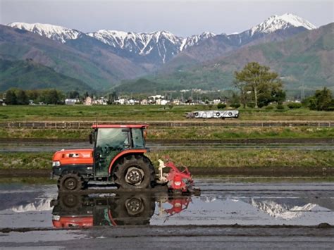 代掻きと北アルプス 安曇野百景 ライフポート安曇野