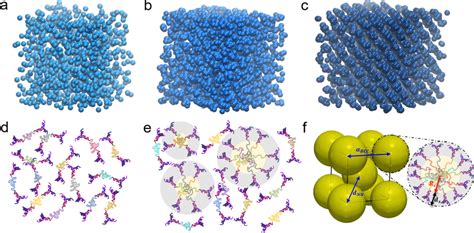 Simulation Snapshots And Schematic Representations Of Cluster Forming Download Scientific