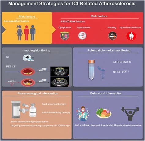 Frontiers The Impact Of Immune Checkpoint Inhibition On