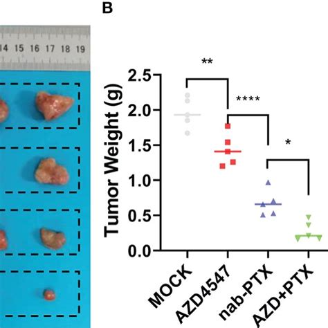 Azd4547 Combined With Nab Ptx Exerted A Synergistic Antitumor Effect In Download Scientific