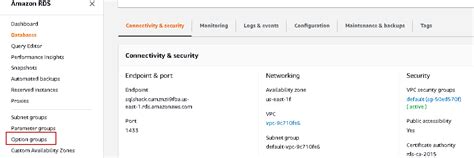 在aws Rds Sql Server中进行审核 Csdn博客