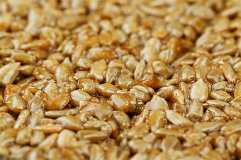 코 지 자키 골든에서 구운 해바라기 씨를 배경으로 감촉 매크로 촬영 갈색에 대한 스톡 사진 및 기타 이미지 갈색 건조한 깨 Istock