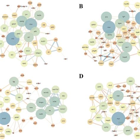 The Ppi Networks Of Target Genes Nodes Represent Target Genes The Download Scientific Diagram