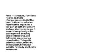 Comprehensive Guide To Penis Anatomy Physiology And Sexual Health Pptx
