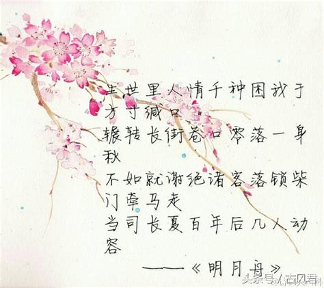 古風句子欣賞你喜歡哪句呢 每日頭條