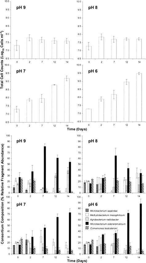 Total Cell Counts Obtained By Dapi Staining And Bacterial Consortium Download Scientific