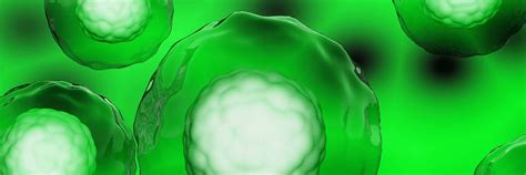 Streamlined Detection Of Single Cell Derived Colonies With The Celigo Image Cytometer Revvity