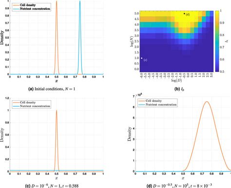 Results From The One Dimensional Reactiondiffusion Model A The Download Scientific Diagram