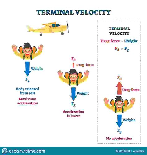 I Gcse Physics Terminal Velocity Igcse Physics Gcse