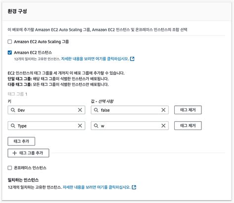 Aws Codedeploy 배포 그룹 환경 구성 태그 지정