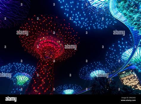 Gardens By The Bay Supertrees During Garden Rhapsody Light Show At