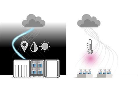 Real Time Temperature Monitoring Berlinger Smartsystem