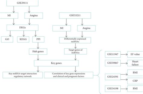 The Bioinformatics Analysis Flowchart Download Scientific Diagram