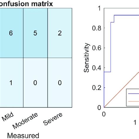 Performance Of A Naïve Bayes Classifier Using Three Regions Of Interest