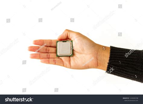 Hand Holding Computer Processor Cpu Isolated Stock Photo 1243690198 Shutterstock