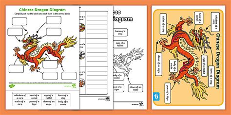 Chinese Dragon Diagram Pack Lenseignant A Fait Twinkl